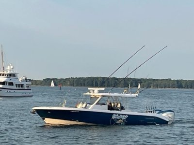 School's Out | White Marlin Open Stats 2024 Tournament at White Marlin Open